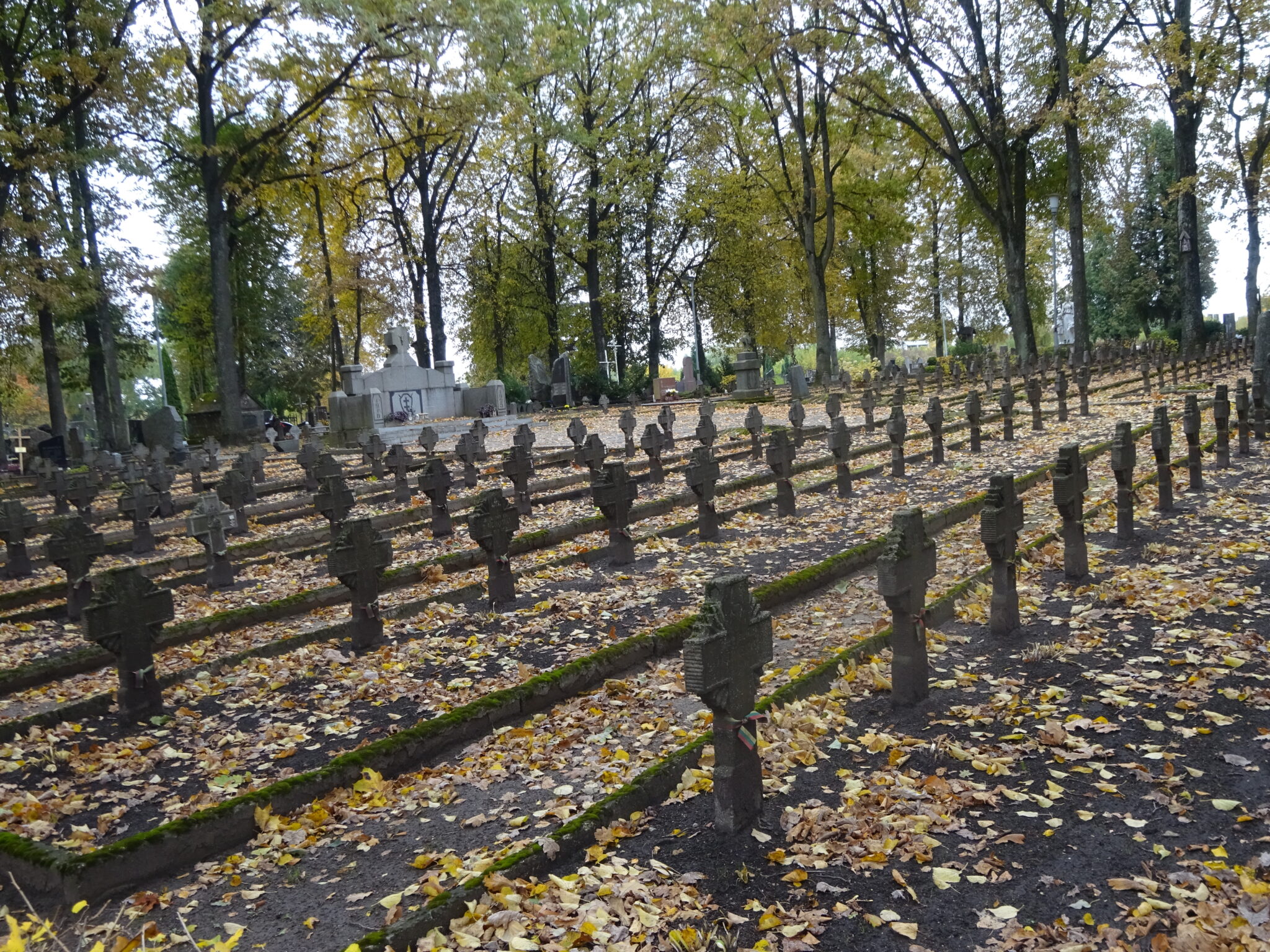 Panevėžio kapinės - Panevėžio Elenos Mezginaitės viešoji biblioteka